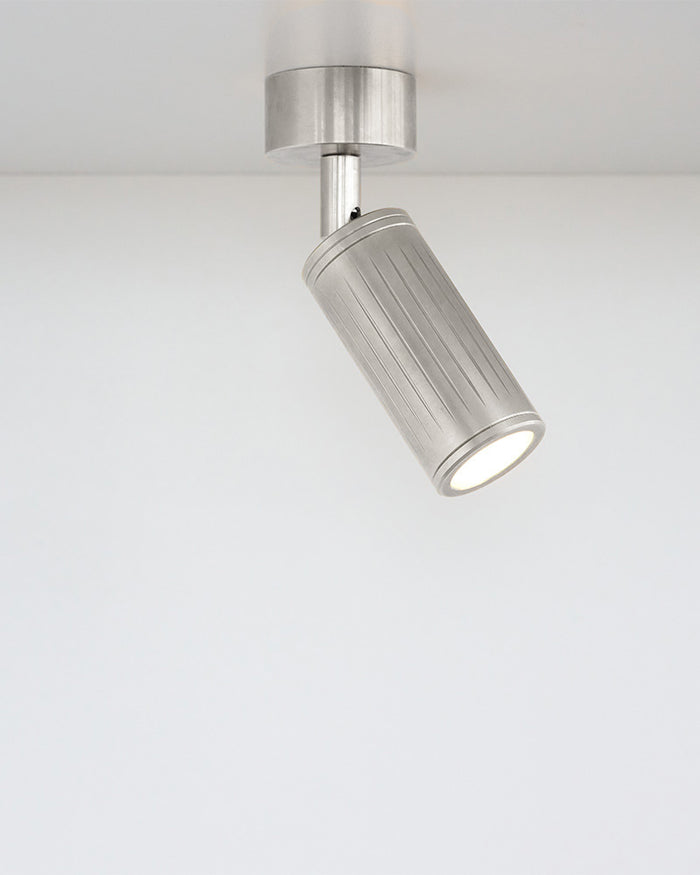 Luminar Wall and Ceiling SpotLight in Steel